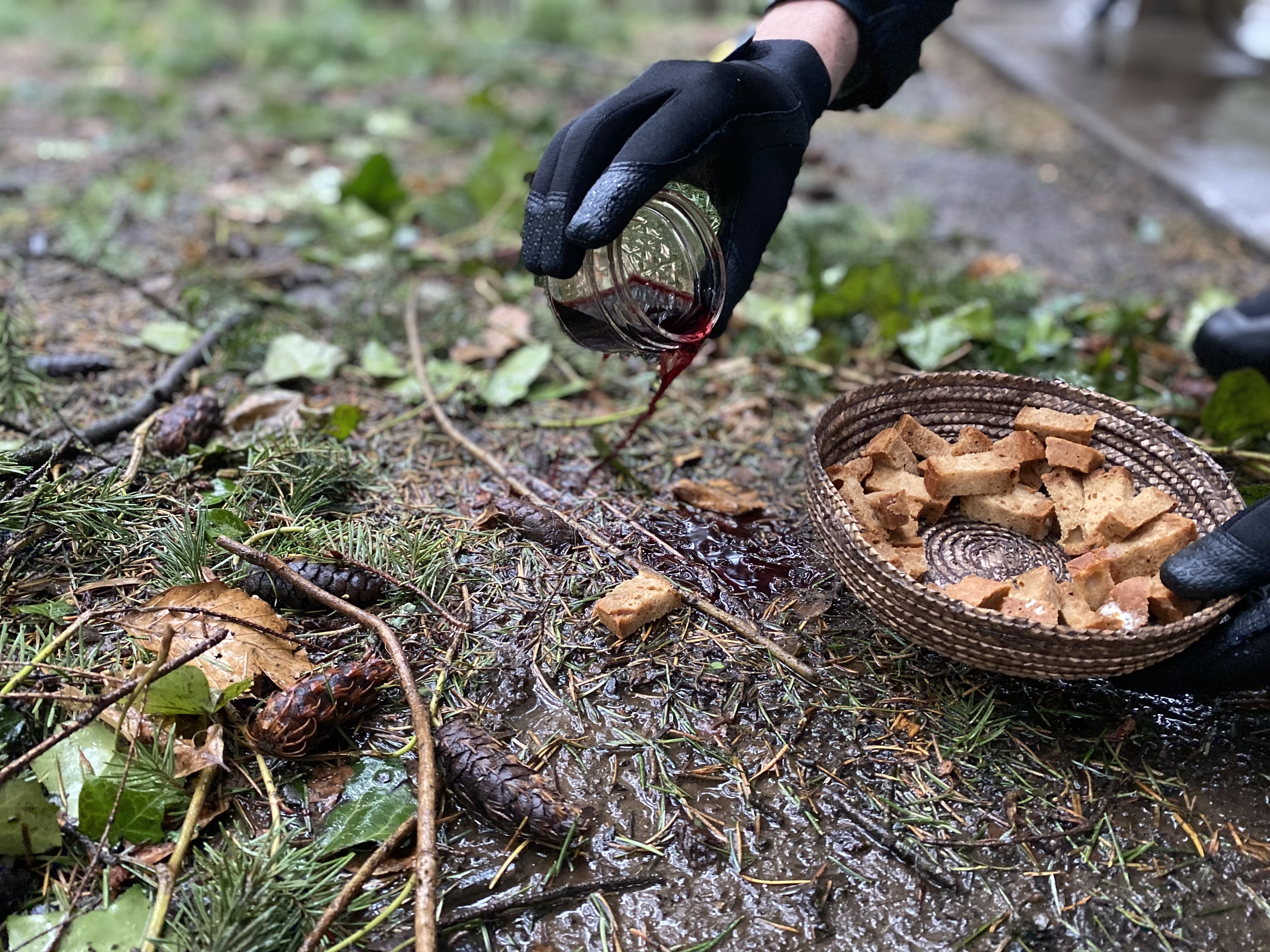 Join us – Wild Church Portland